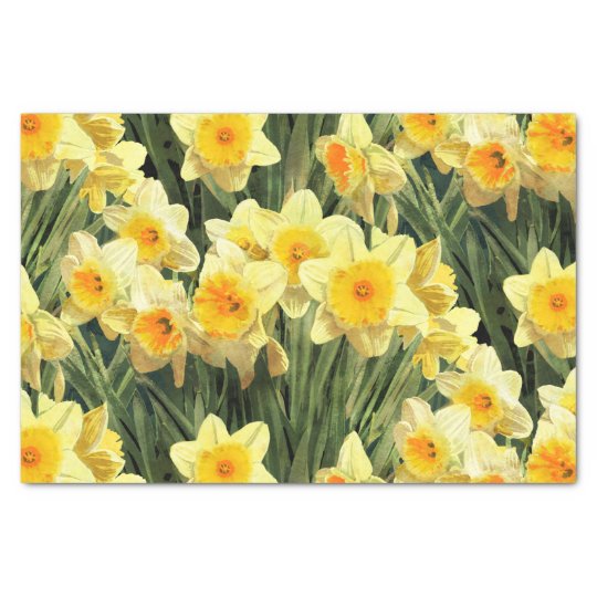 Yellow Spring Daffodils Tissue Paper | Zazzle.com
