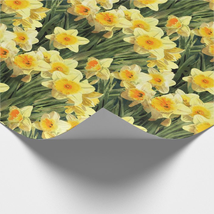 Yellow Spring Daffodils Wrapping Paper | Zazzle.com