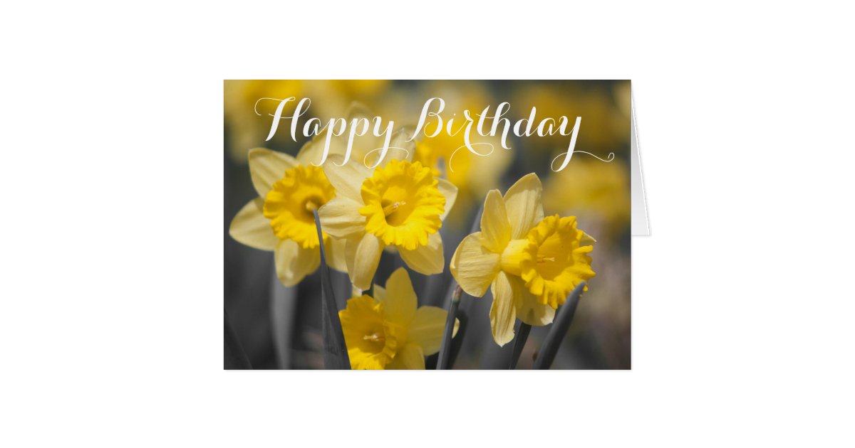 Yellow Spring Flowers | Daffodil Greeting Card | Zazzle