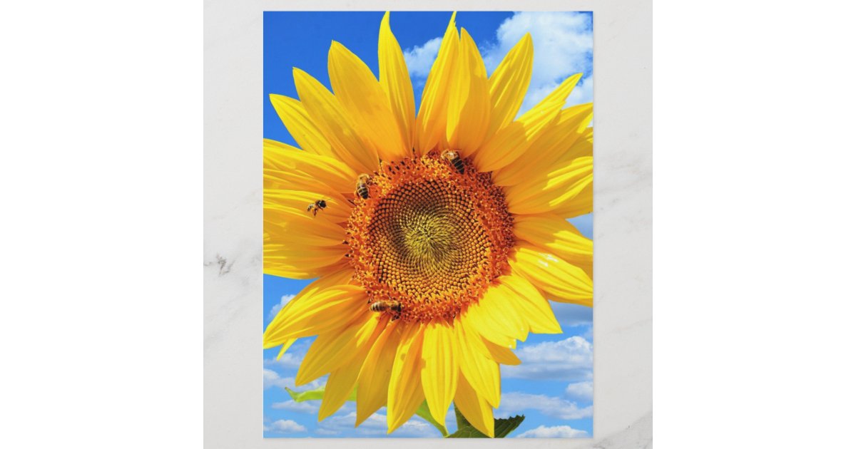 Yellow Sunflower and Bees Summer Letterhead | Zazzle