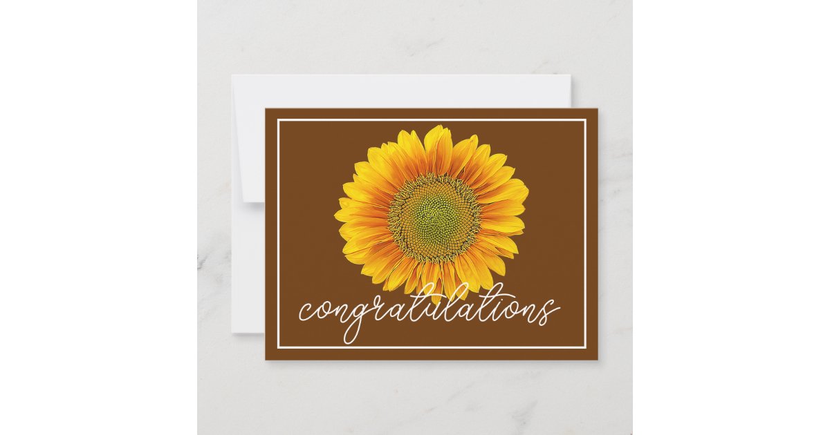 Yellow Sunflower Brown Background Congratulations Postcard | Zazzle