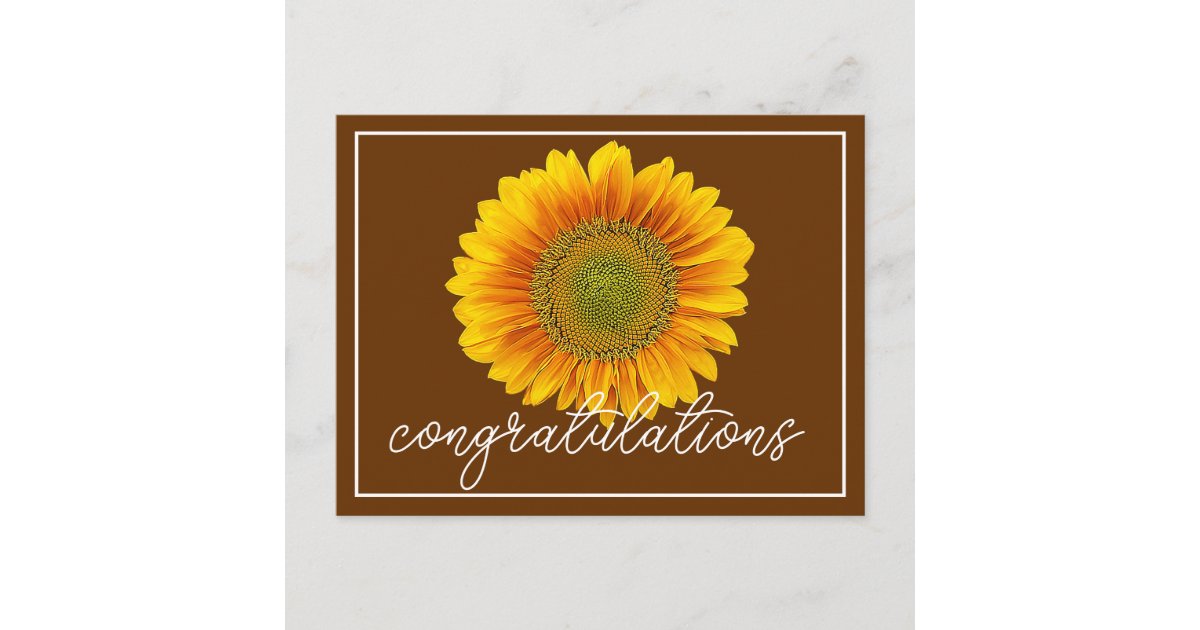 Yellow Sunflower Brown Background Congratulations Postcard | Zazzle