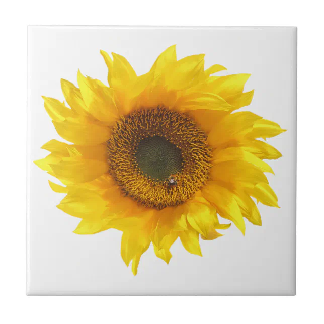 yellow sunflower ceramic tile | Zazzle