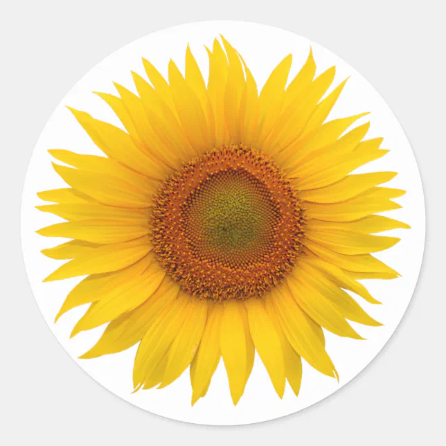 Yellow Sunflower Flower Envelope Seal Stickers | Zazzle