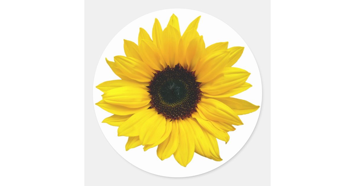 Yellow Sunflower Flower Envelope Seal Stickers | Zazzle