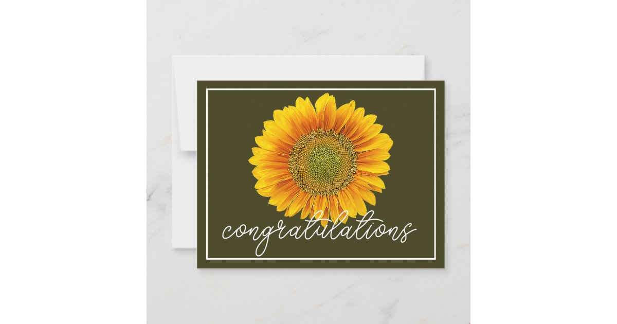 Yellow Sunflower Moss Background Congratulations Postcard | Zazzle