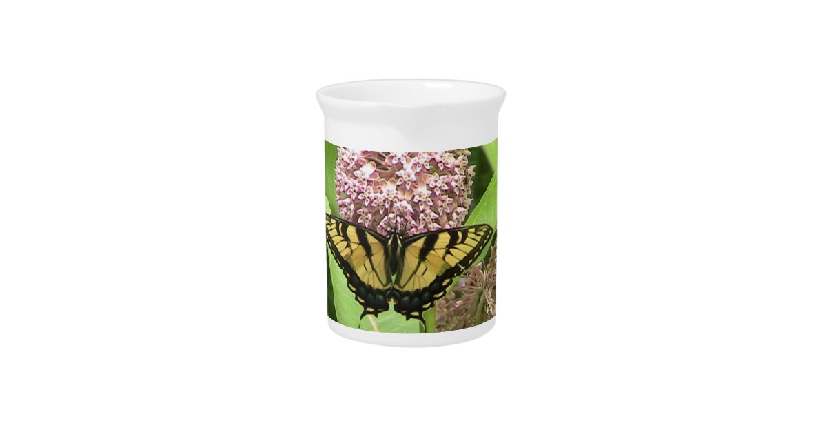 Yellow Swallowtail Butterfly Pitcher | Zazzle