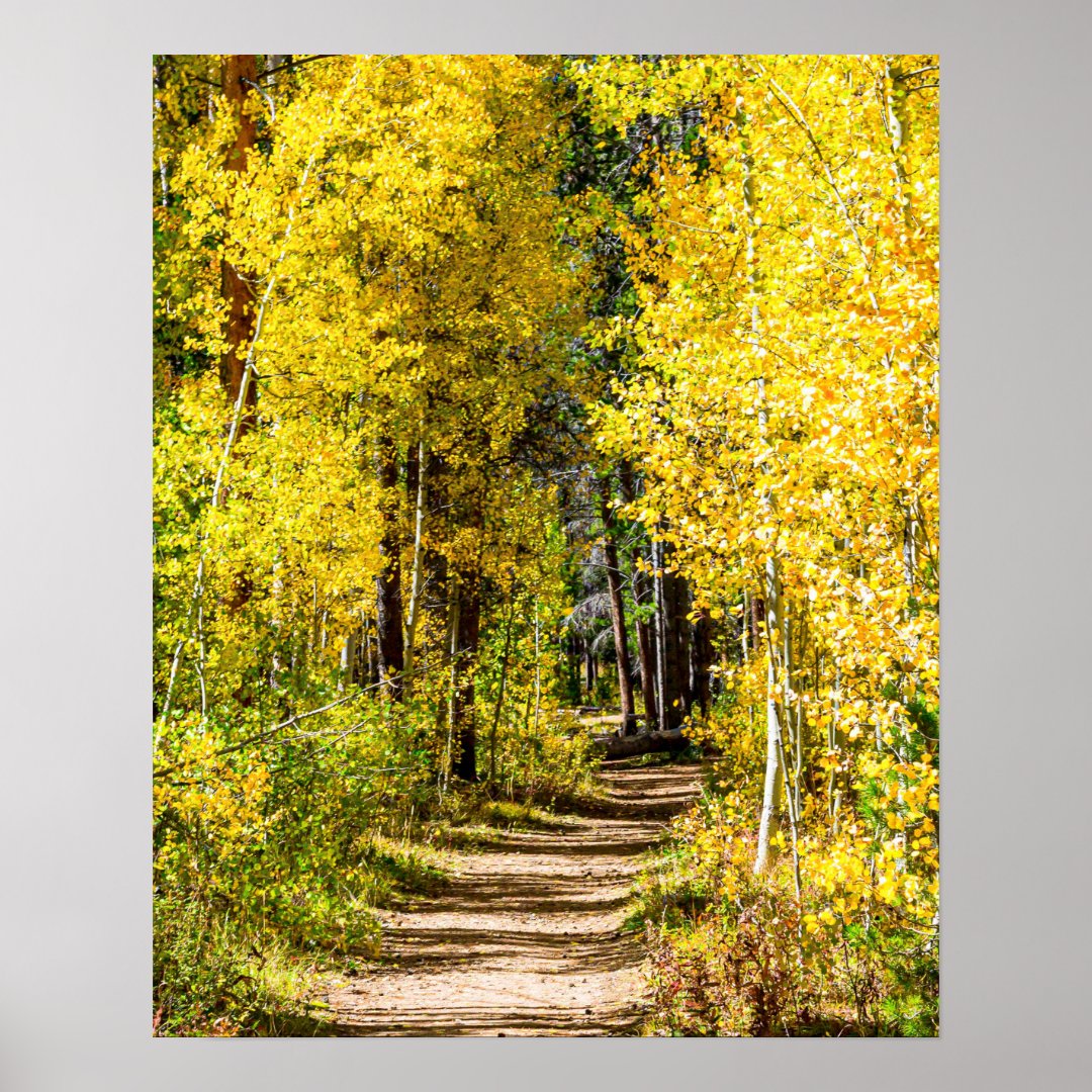 Yellow Tree Road // Hiking in Autumn Poster | Zazzle