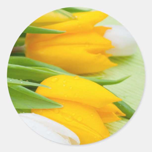 Tulip Stickers - 100% Satisfaction Guaranteed | Zazzle