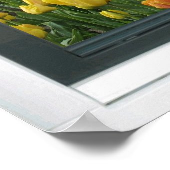 Yellow Tulips Blue Sky Spring Window View Poster | Zazzle