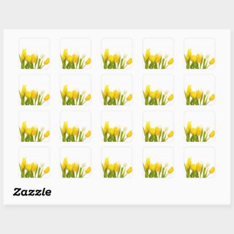 Yellow tulips square sticker | Zazzle