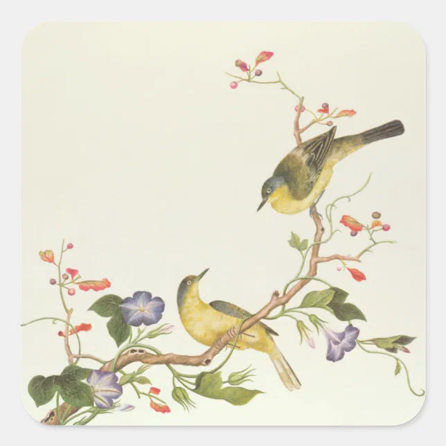 Yellow Wagtail with blue head Square Sticker | Zazzle