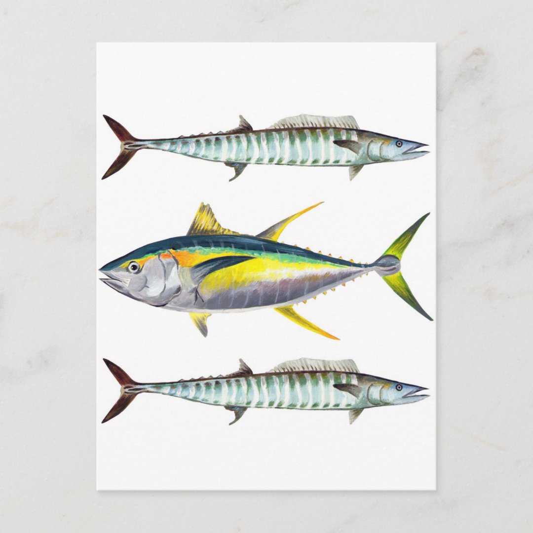 yellowfin and wahoo fish pattern postcard | Zazzle