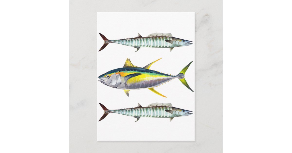 yellowfin and wahoo fish pattern postcard | Zazzle
