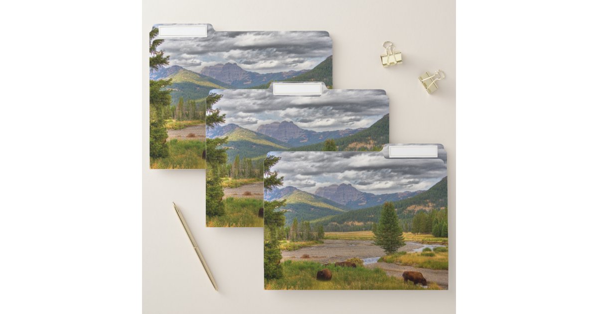Yellowstone Bison File Folder | Zazzle