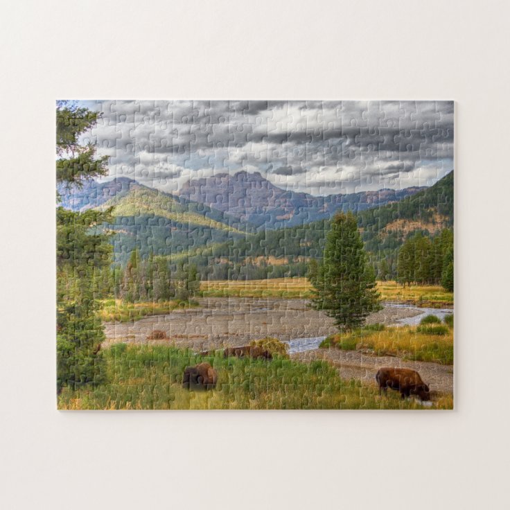 Yellowstone Bison Jigsaw Puzzle | Zazzle
