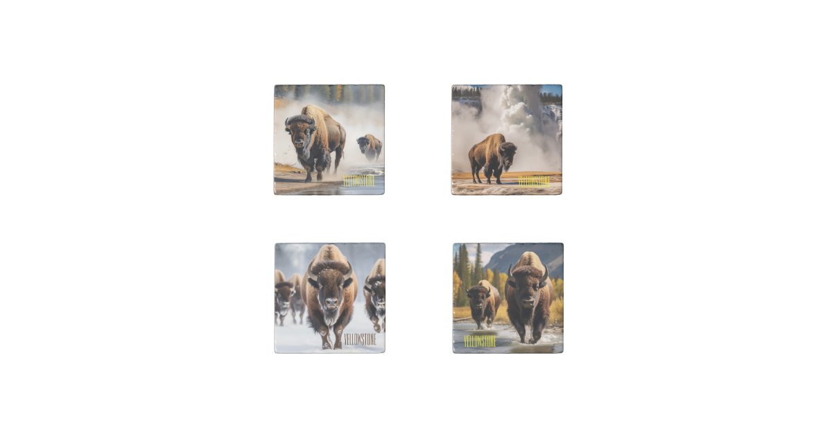 Yellowstone Bison Stone Magnet Set | Zazzle