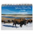 Bison Calendar | Zazzle.com