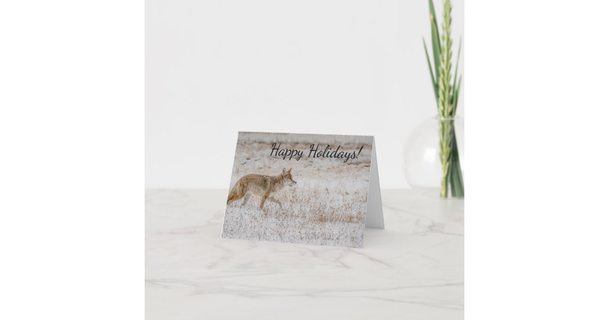 Yellowstone Coyote Greeting Card | Zazzle