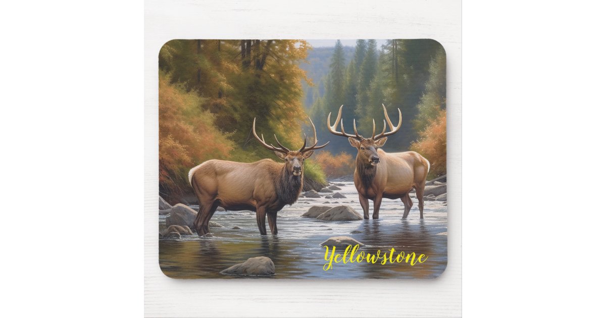 Yellowstone Elk Mouse Pad | Zazzle