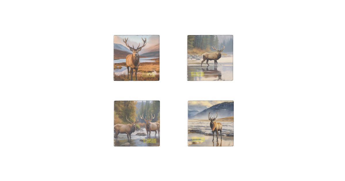 Yellowstone Elk Stone Magnet Set | Zazzle