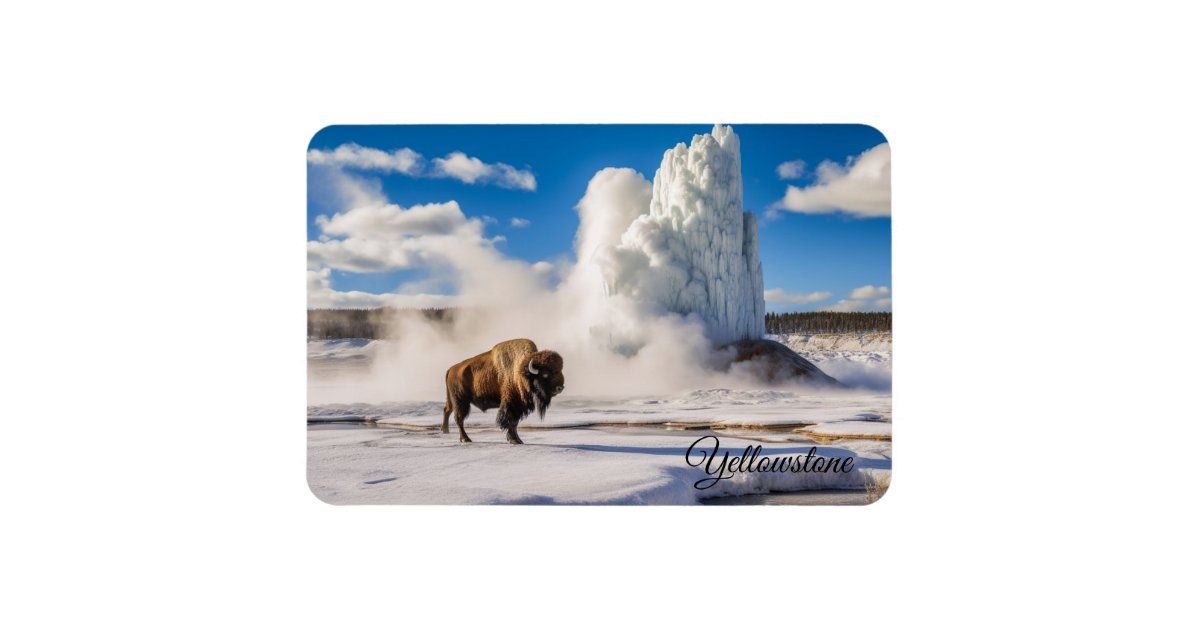 Yellowstone Magnet-Buffalo Geyser Magnet | Zazzle