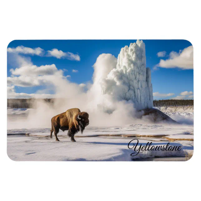Yellowstone Magnet-Buffalo Geyser Magnet | Zazzle