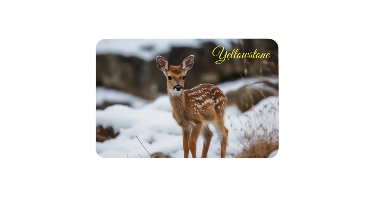 Yellowstone Magnet-Fawn Deer Magnet | Zazzle