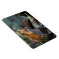 Yellowstone Magnet-Red Fox Magnet | Zazzle