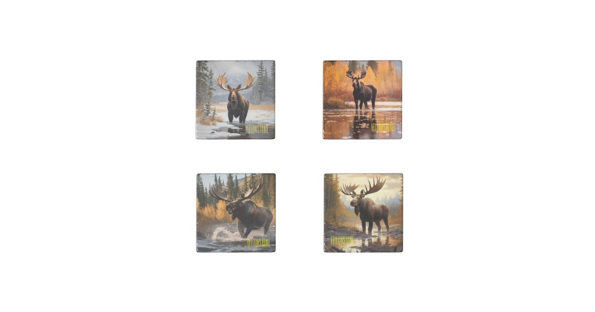 Yellowstone Moose Stone Magnet Set | Zazzle