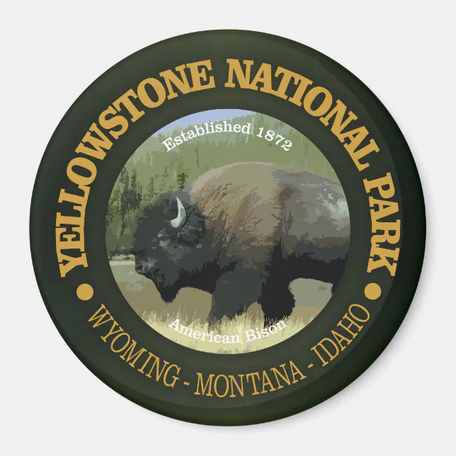 Yellowstone National Park (bison) Magnet | Zazzle
