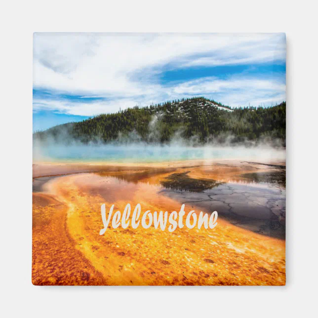 Yellowstone National Park Mountains Nature Animals Magnet | Zazzle