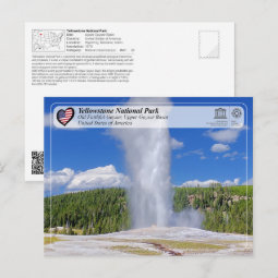 Yellowstone National Park - Old Faithful Geyser Postcard | Zazzle