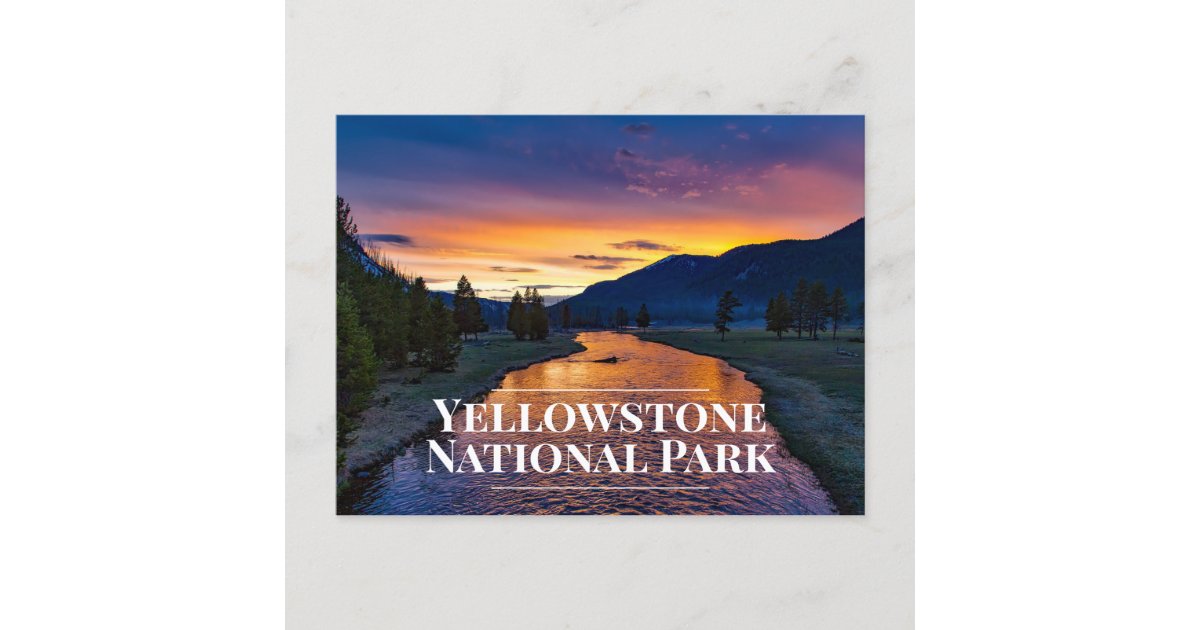 Yellowstone National Park Souvenir Postcard | Zazzle