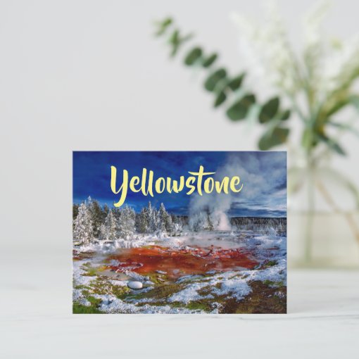 Yellowstone National Park Wyoming Postcard | Zazzle