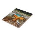 Yellowstone Thermal Pool Ceramic Tile | Zazzle