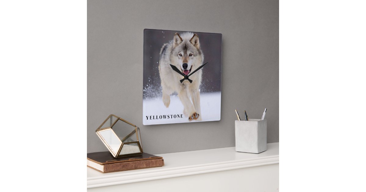 Yellowstone Wolf Square Wall Clock | Zazzle