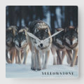 Yellowstone Wolves Square Wall Clock | Zazzle