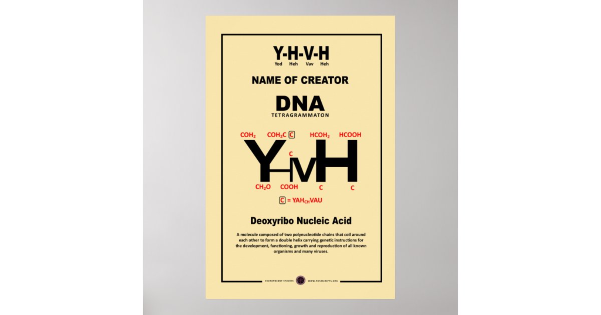 YHVH Chemical Compound Poster | Zazzle