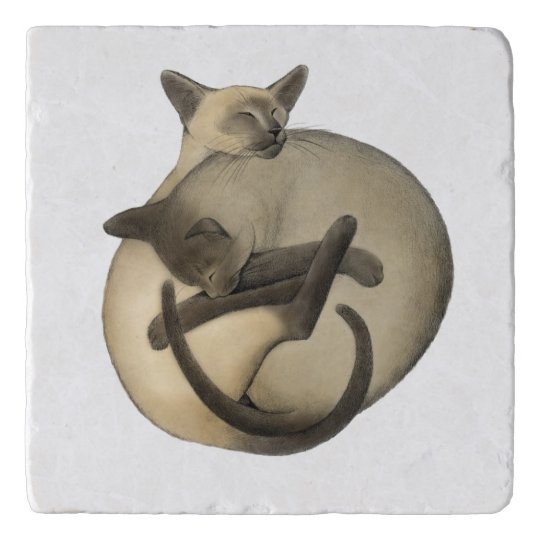 Yin Yang Siamese Cats Stone Trivet | Zazzle.com