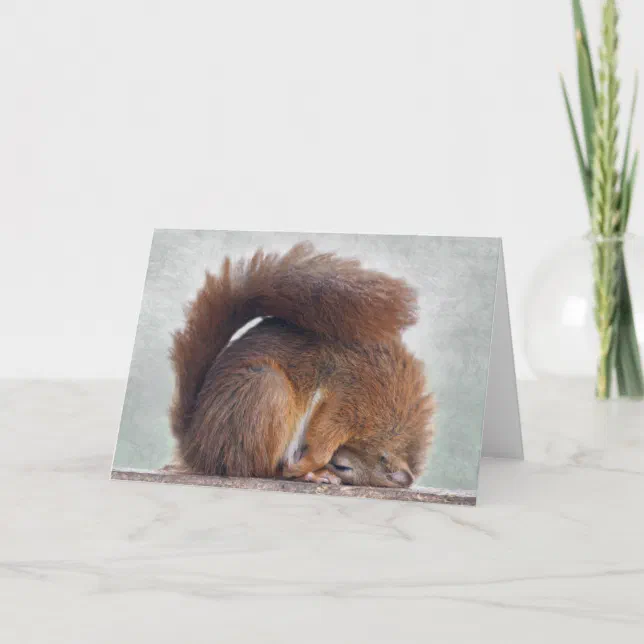 Yoga Squirrel Card | Zazzle