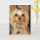 yorkie card | Zazzle