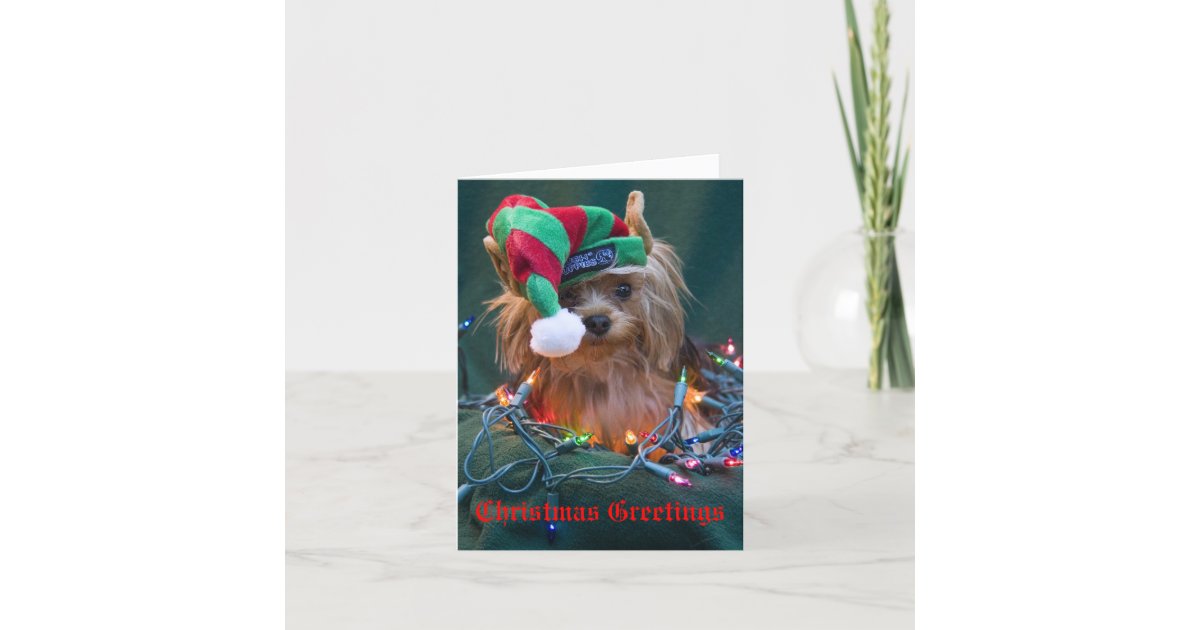 Yorkie Christmas Card | Zazzle