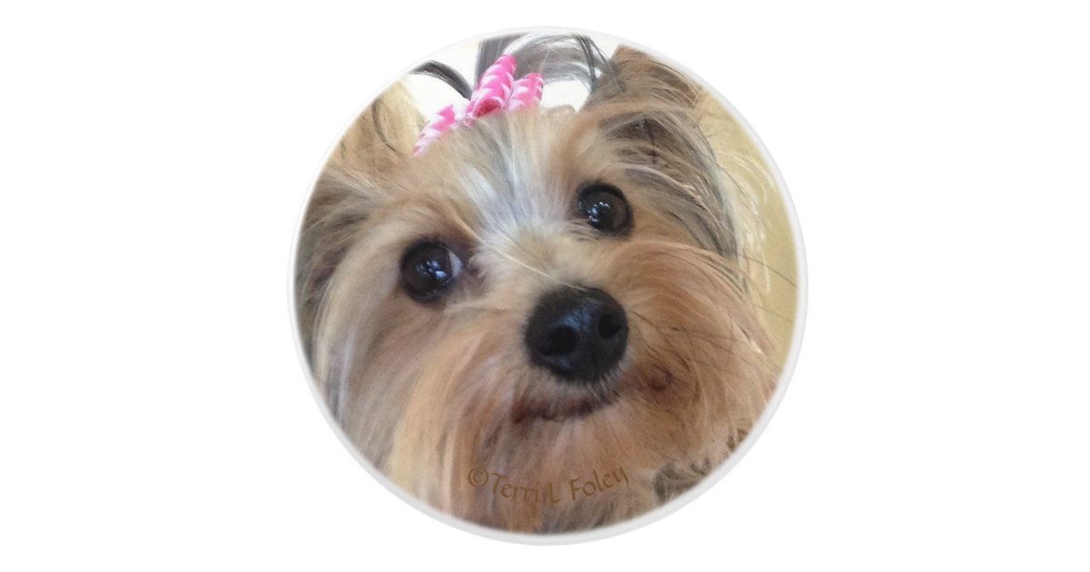 Yorkie Custom Ceramic Knob | Zazzle