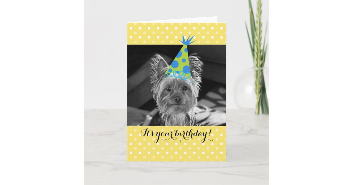 Yorkie Dog Birthday Card | Zazzle