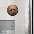 Yorkie Magnet | Zazzle