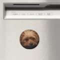 Yorkie Magnet | Zazzle