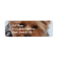 Yorkie Mailing Labels | Zazzle
