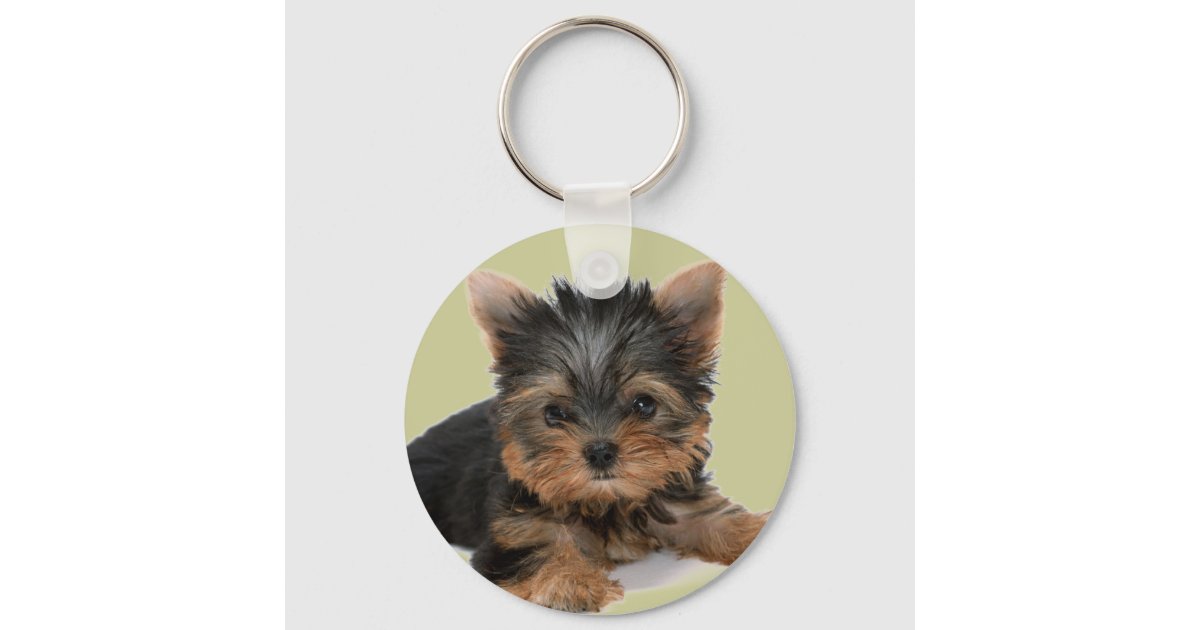 Yorkie Pup Keychain | Zazzle