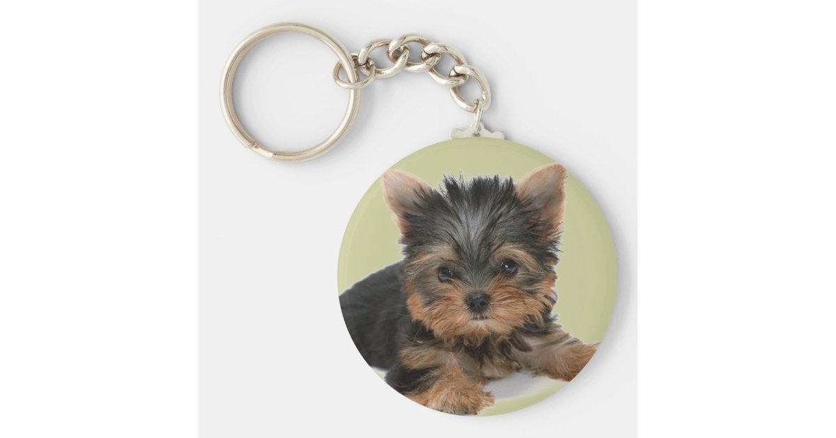 Yorkie Pup Keychain | Zazzle.com